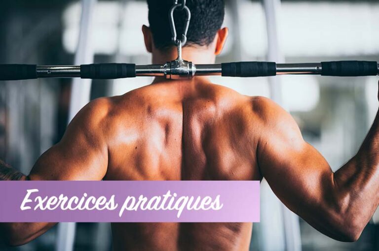 Renforcement du dos par des exercices efficaces