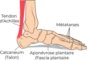 Soulager l'aponévrosite plantaire par des exercices d'ostéopathie